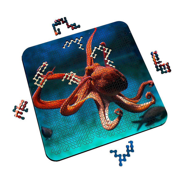Mind Bending Puzzle - Octopus Stretch - Torched Products